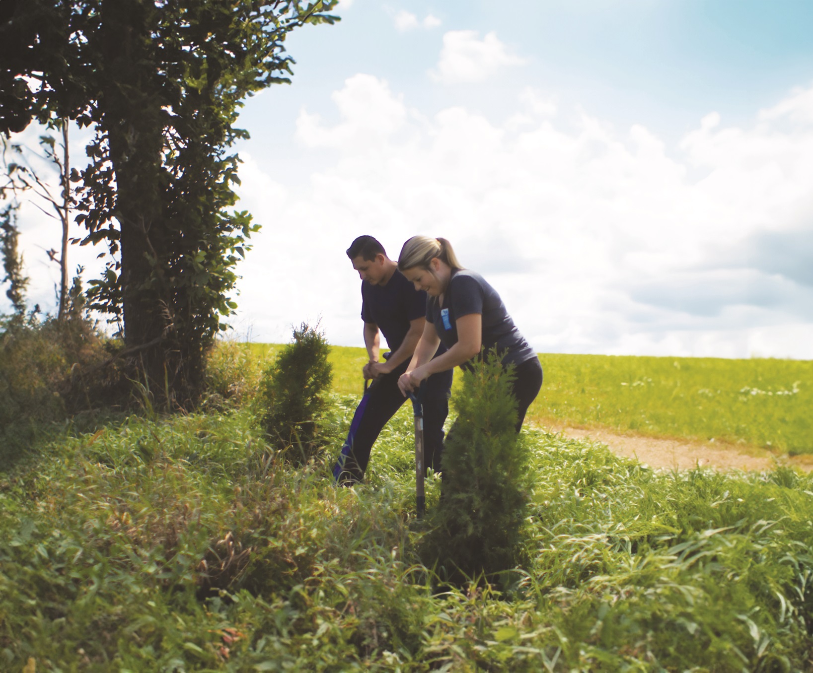 Cultivating a greener future on dairy farms with Tree Canada ...