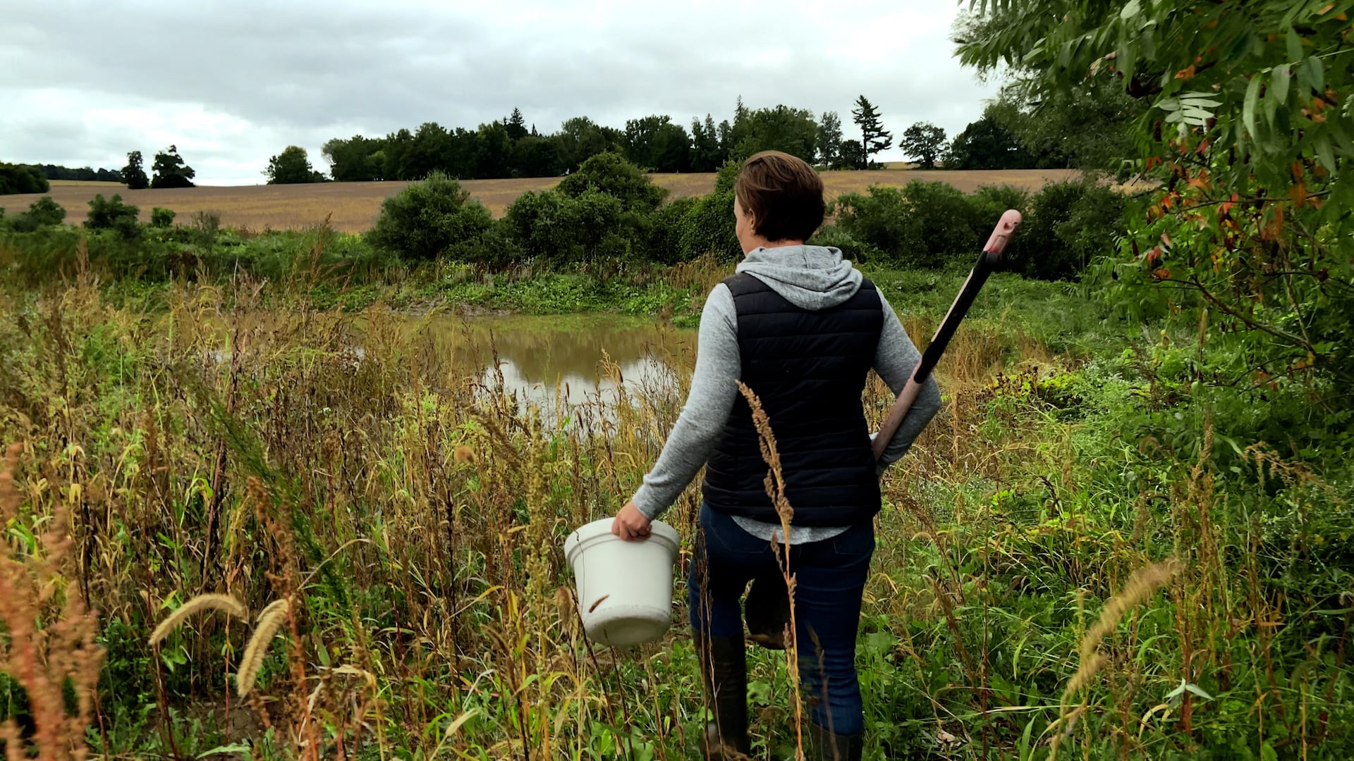 Canadian dairy farmers support sustainability on farms with innovative ...