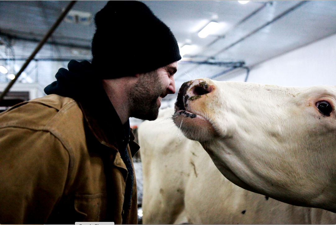 Our promise: Canadian milk, the Canadian way | Dairy Farmers of Canada