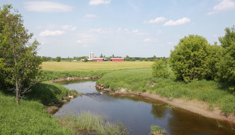 Managing Water Use on the Farm | Dairy Farmers of Canada