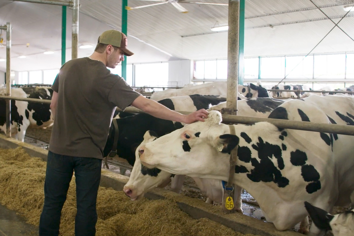 Cows On Our Farms Are Part Of The Family | Dairy Farmers of Canada