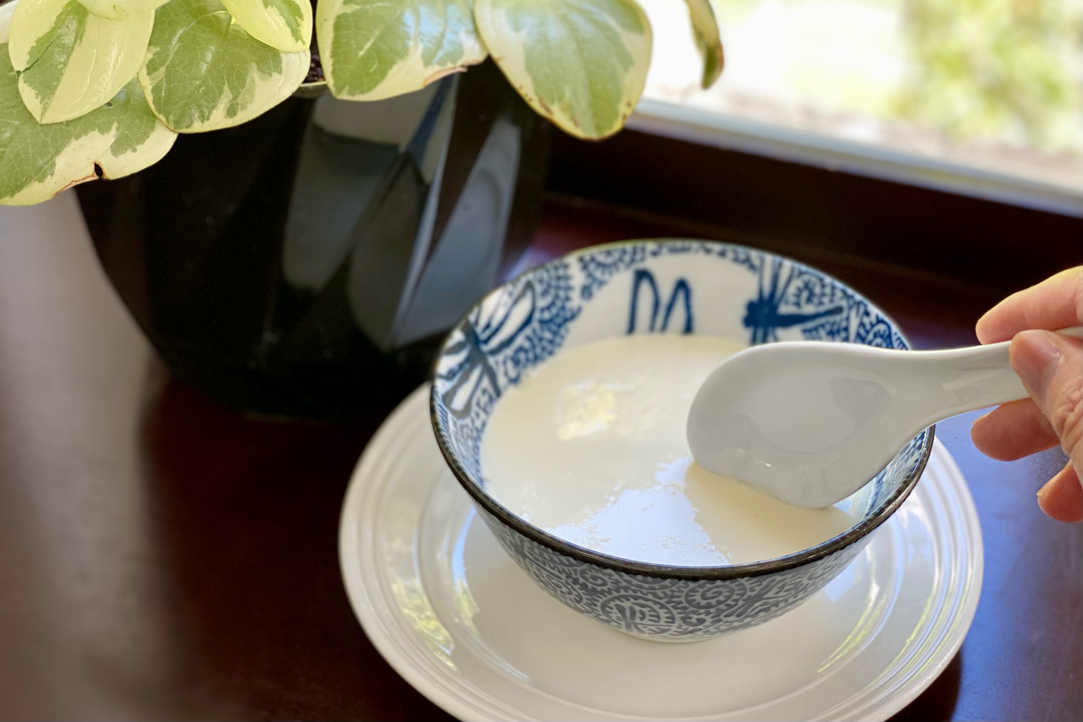 Ginger Milk Curd Dessert | Canadian Goodness