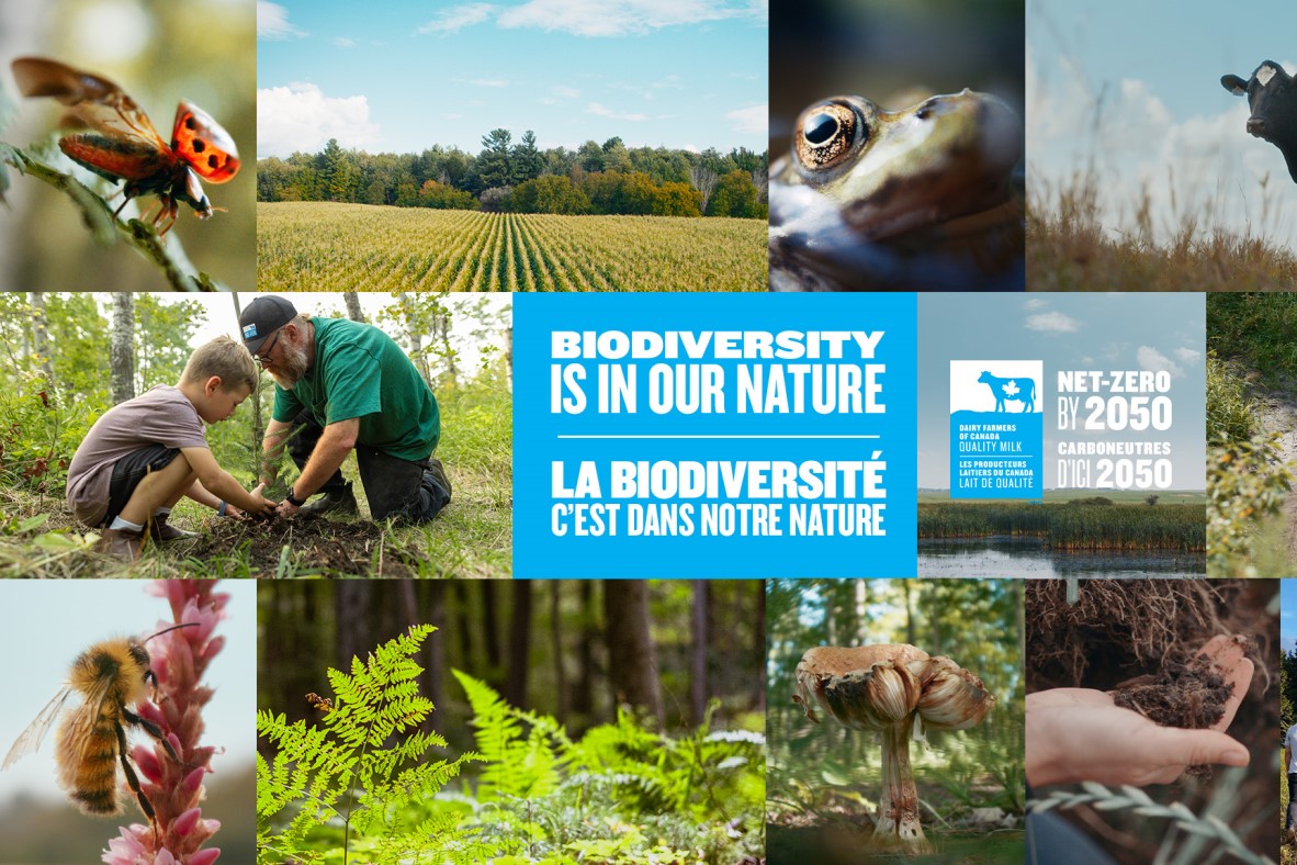 Preserving Biodiversity | Dairy Farmers of Canada