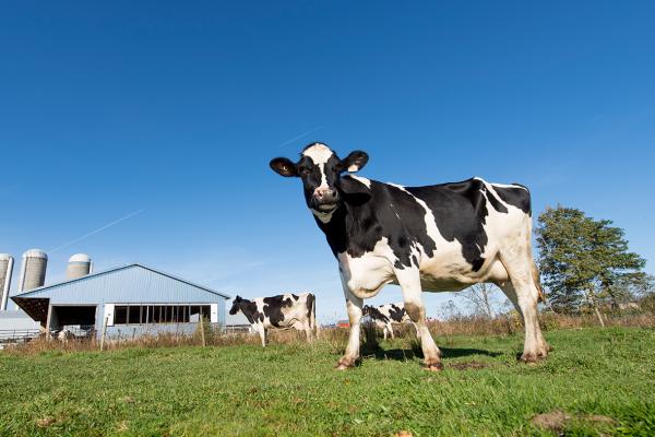 Committed to quality | Dairy Farmers of Canada