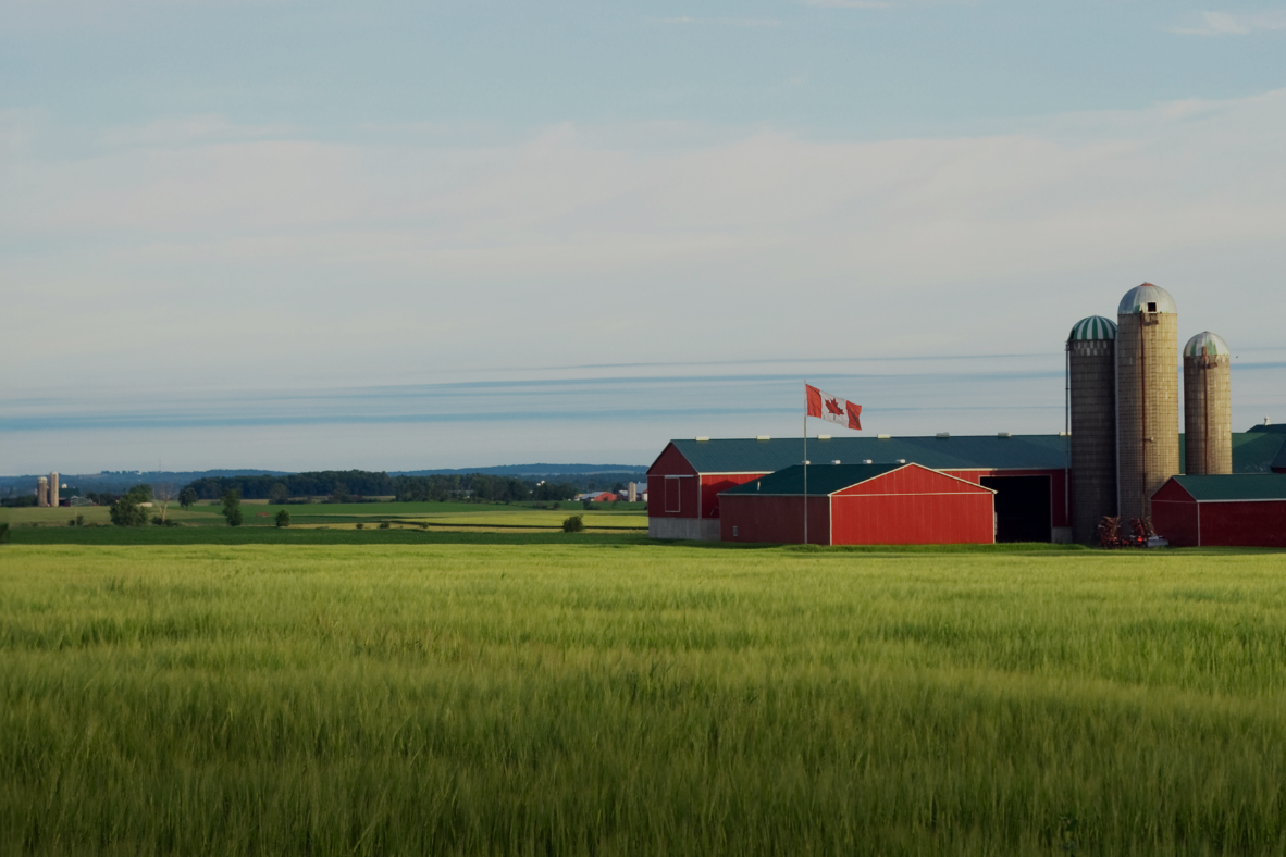 The Canadian Way | Canadian Goodness
