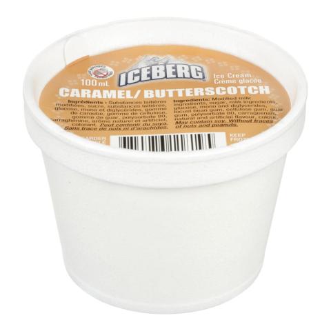 Iceberg Butterscotch Ripple Ice Cream 24x100ml | Canadian Goodness